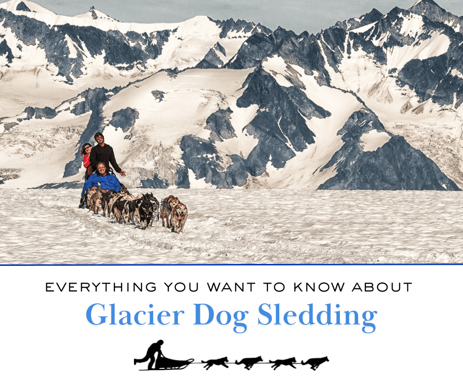 Ultimate Guide to Glacier Dog Sledding in Alaska | Turning Heads Kennel