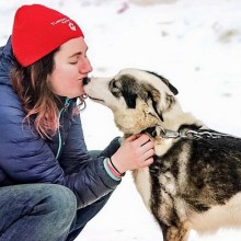 Everything You Need to Know About Iditarod Sled Dog Race